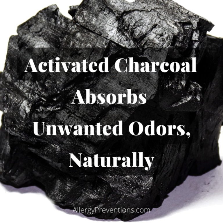 activated-charcoal-abosorbs-odors-infographic - Allergy Preventions activated-charcoal-abosorbs-odors-infographic - Allergy Preventions