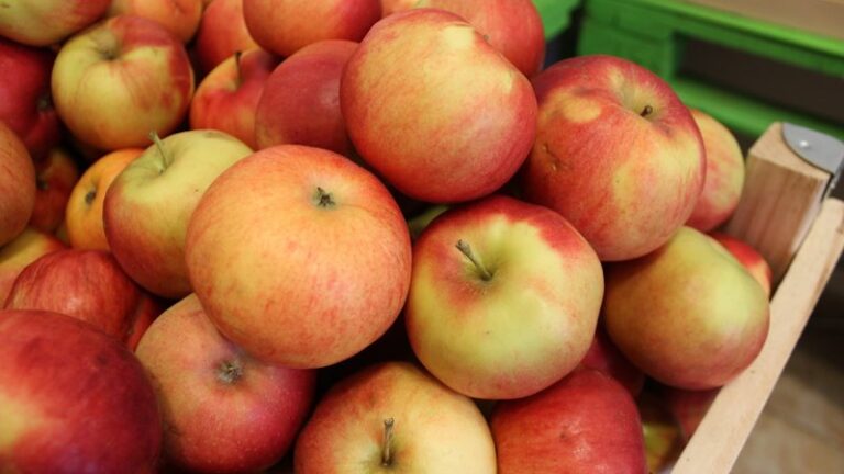 Revealing The Top 20 Food Allergies - Allergy Preventions