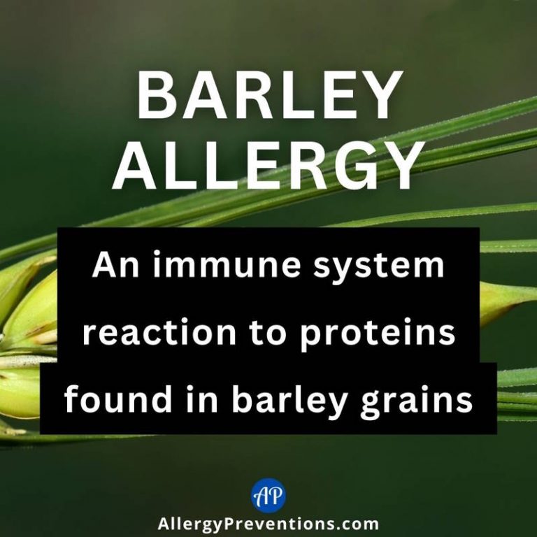 Barley Allergy: What You Need to Know - Allergy Preventions