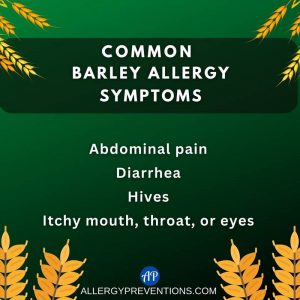 Barley Allergy: What You Need to Know - Allergy Preventions
