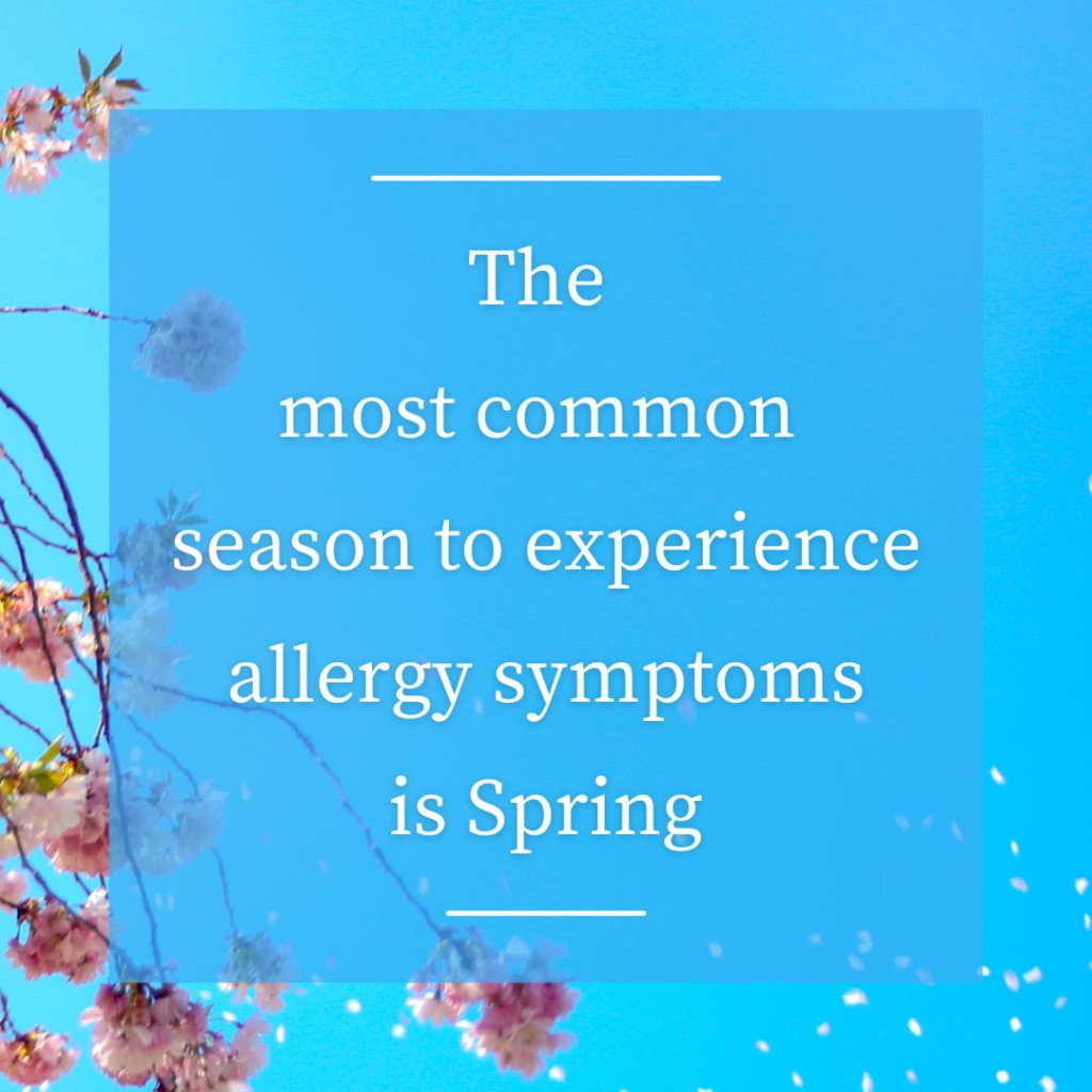 When is Allergy Season? Plus Allergy Prevention Strategies