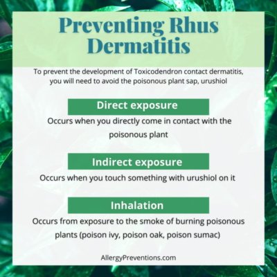 Rhus Dermatitis: Causes, Symptoms, and Treatments