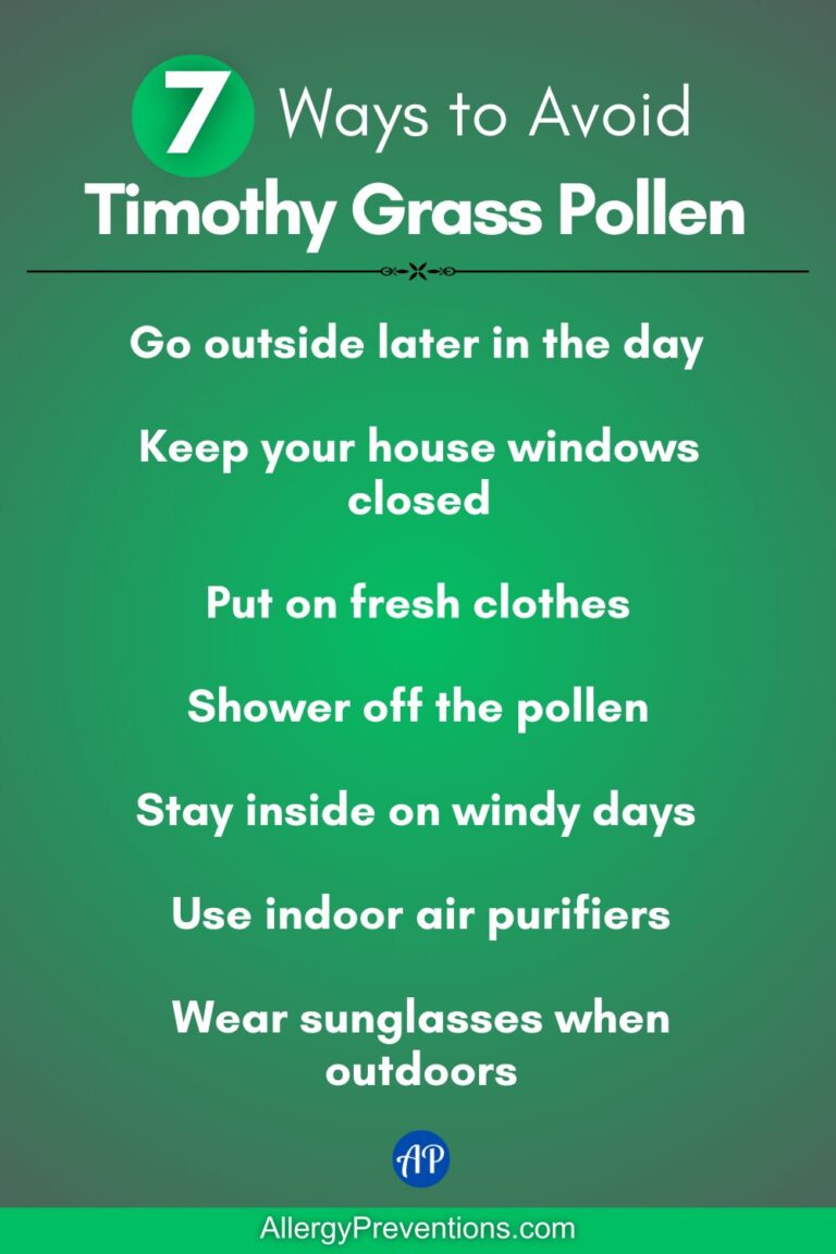 Timothy Grass Allergy Survival Toolkit: How to Navigate and Find Relief